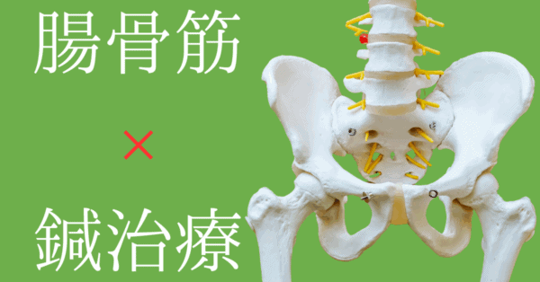 鍼に電気を流す『鍼通電治療』で得られる効果とは？？ 豊中市の”ほまれ鍼灸院”